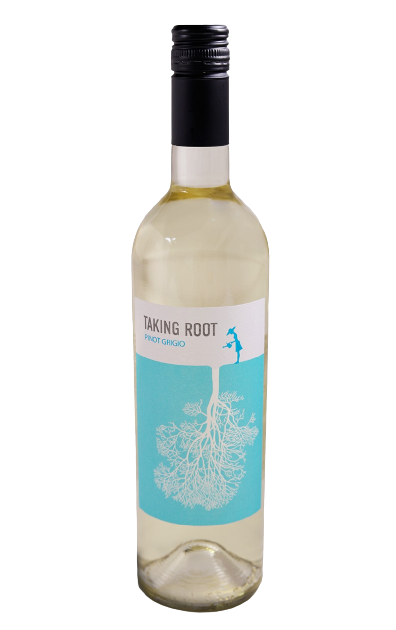 Taking Root White Wine Variants – African Yard Nigeria LTD.